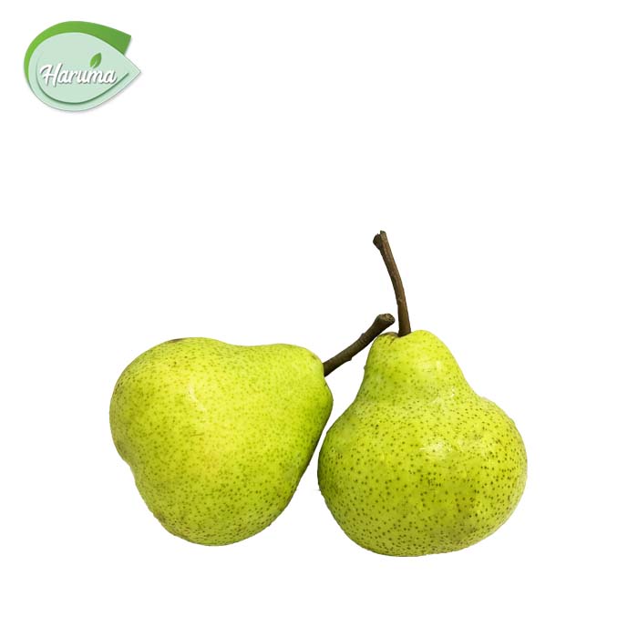 Haruma Senko Online – 哈乐鲜果