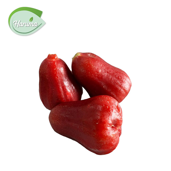 Jambu Air Water Apple